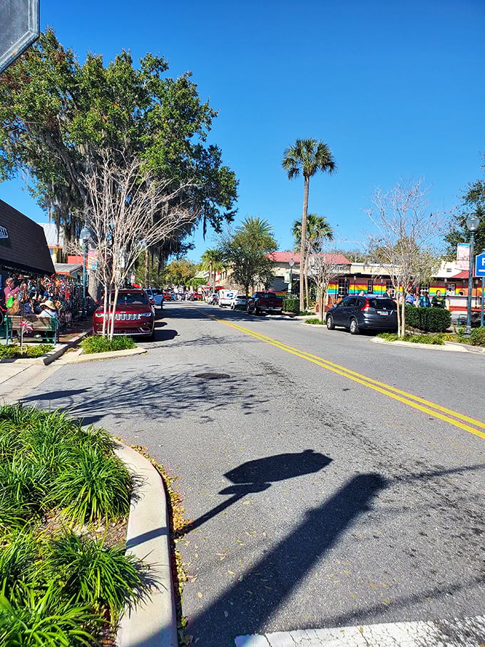 Mount Dora's streets curve gently through town, lined with trees that have witnessed decades of visitors falling in love with this hidden gem.