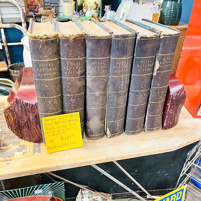 These Royal Natural History books contain information that's either charmingly outdated or surprisingly relevant&mdash;much like my dating advice.