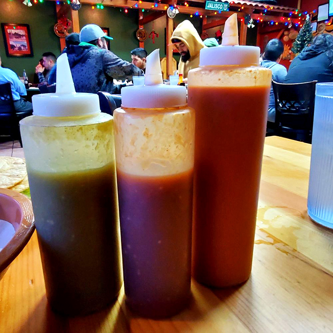 Three sauces standing at attention like flavor soldiers ready for duty. The middle one looks spicy enough to require a liability waiver.