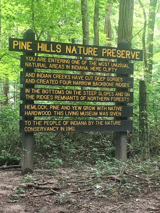 The sign says it all&mdash;Pine Hills Nature Preserve is Indiana's hidden gem. This "living museum" showcases remnants of northern forests that feel delightfully out of place in the Hoosier state.