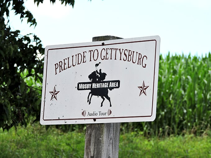 Historical markers transform casual drives into immersive history lessons&mdash;no stuffy museum required, just the open air and stories beneath your wheels.