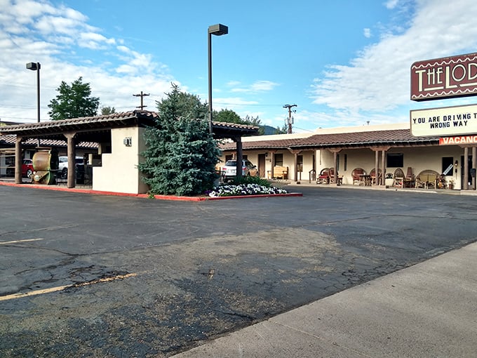 The Lodge on Route 66 offers southwestern hospitality in quintessential motor-court style. Mid-century modern meets adobe charm&mdash;my kind of roadside oasis!