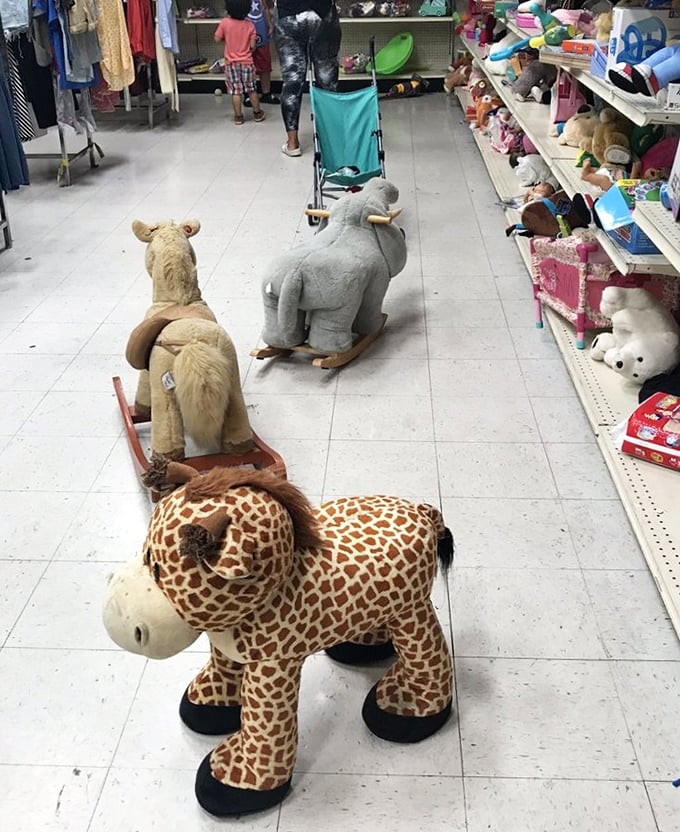 A safari of rideable stuffed animals awaits young adventurers. That giraffe has seen things, but he's not telling.