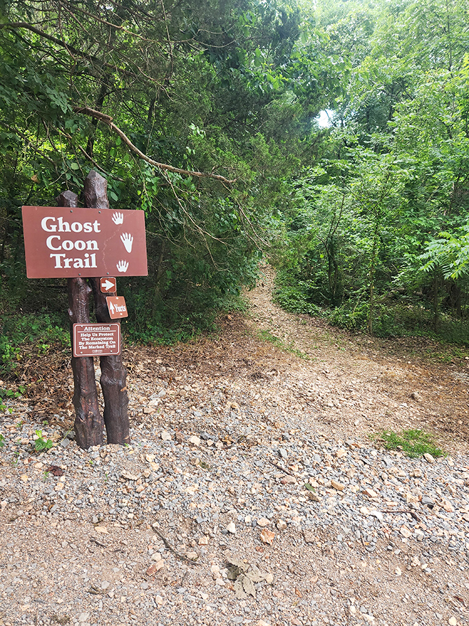 The Ghost Coon Trail beckons adventure-seekers. Just try not to hum the "Deliverance" banjo tune as you venture into these surprisingly lush woods.