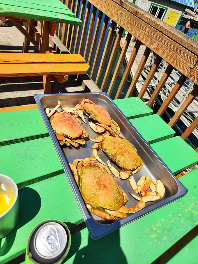The ultimate Oregon coast platter: Dungeness crab surrounded by Manila clams. No filter needed&mdash;this is what seafood dreams are made of.