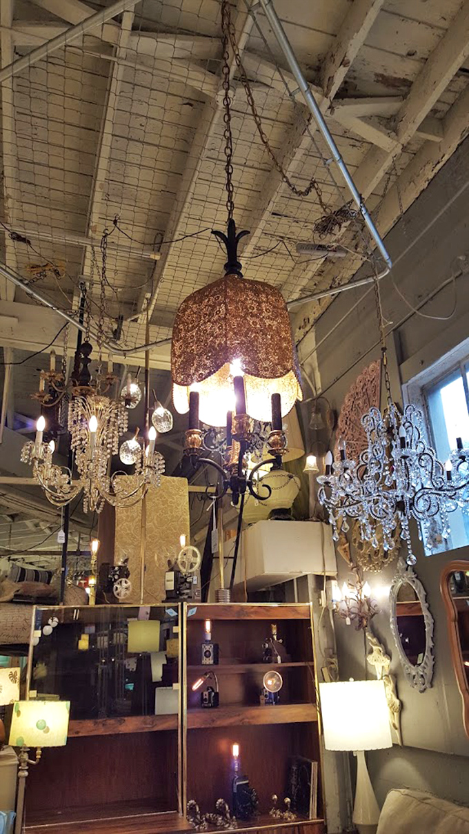 Chandeliers hang like crystallized memories, each pendant light a different era of illumination history. Edison would approve of this glowing museum.