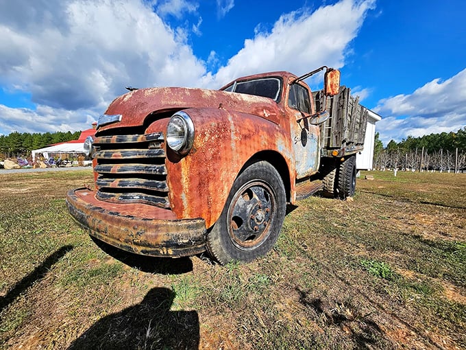 This vintage truck isn't just decoration&mdash;it's a time machine to when things were built to last, just like their recipes.