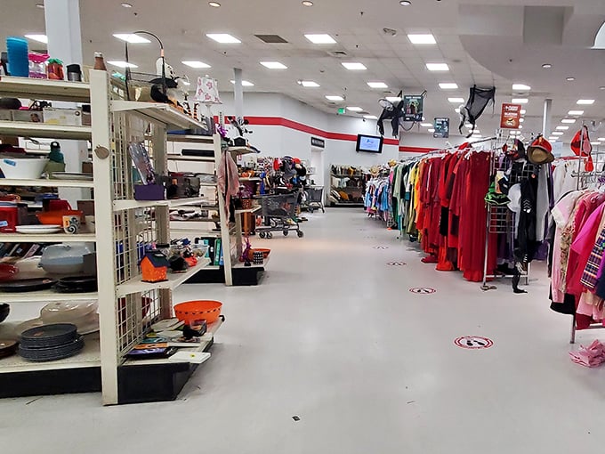 Wide, welcoming aisles make treasure hunting a pleasure rather than a contact sport—unlike those Black Friday sales we've all survived.