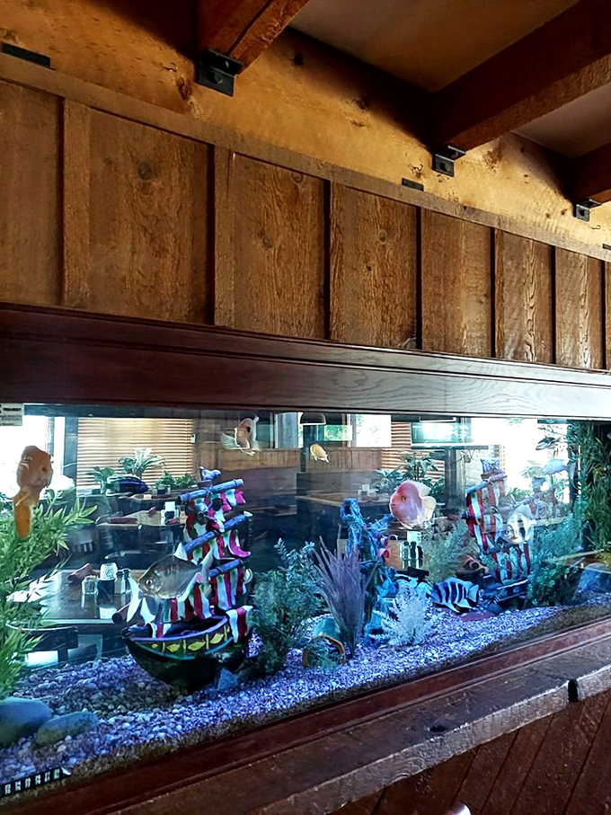 An aquarium that answers the age-old question: "What do the fish think while we're eating their cousins?"