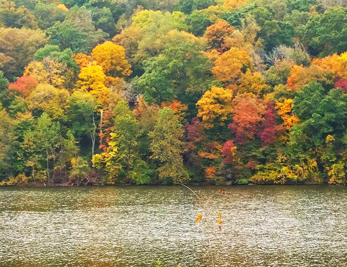 Autumn transforms Salt Fork into a painter's dream. These colors make New England leaf-peepers wonder if they've been visiting the wrong region.