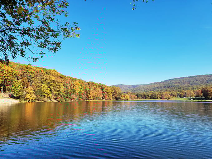 Fall's finest performance plays out across Greenbrier's waters&mdash;no tickets required, just bring your sense of wonder.