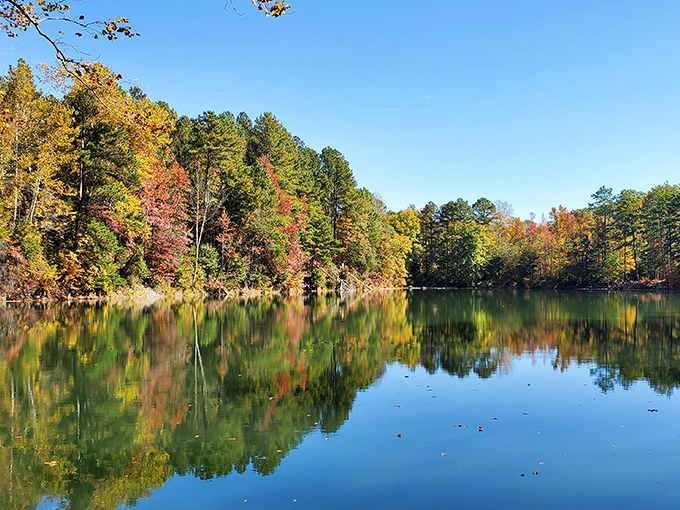 Autumn transforms the Eno Quarry into a mirror for fall's fashion show, where trees dress in their most vibrant outfits before winter arrives.