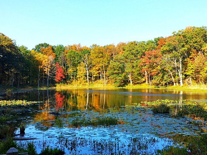 Fall foliage reflects in the still waters, creating nature's perfect mirror image&mdash;no Instagram filter necessary.