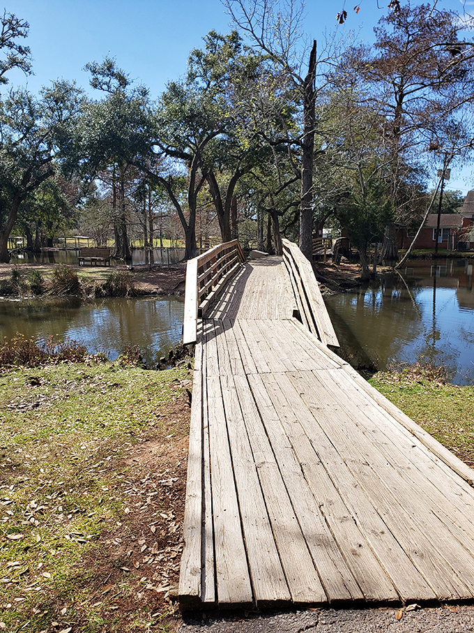 This wooden footbridge invites contemplative strolls across still waters – the kind of spot where decisions get made and memories get cemented.