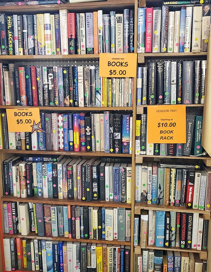 Literary treasures at paperback prices. These shelves hold worlds waiting to be rediscovered, one $5 adventure at a time.