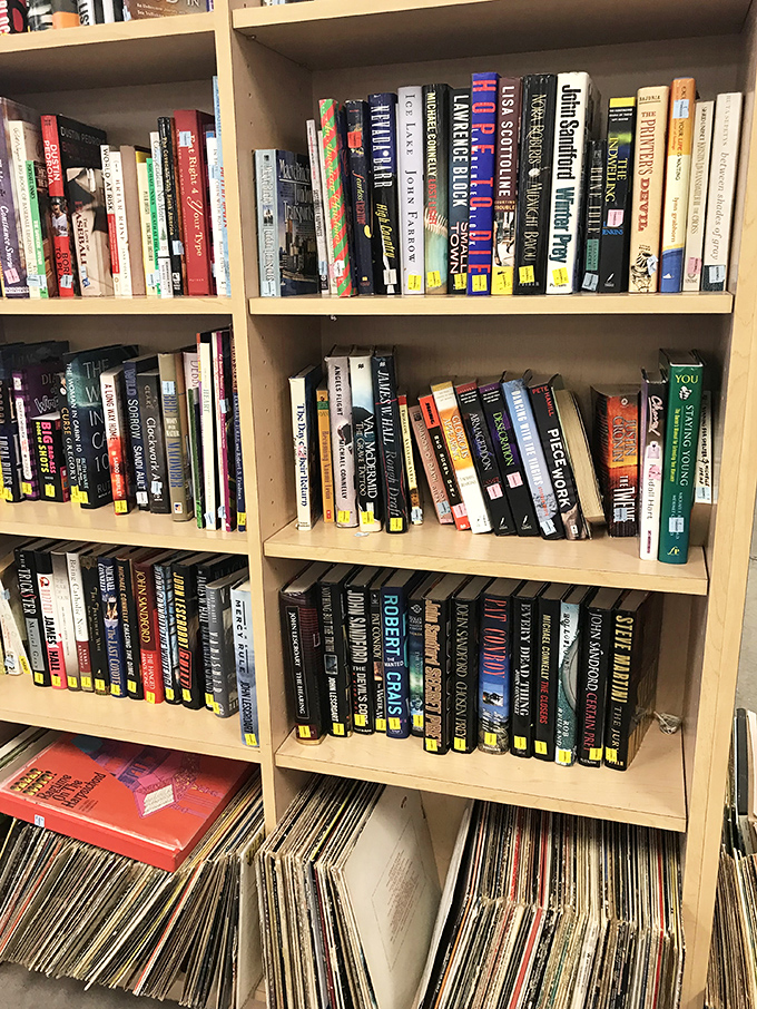 Vinyl records lean casually against paperbacks, two analog pleasures waiting to transport you to simpler times.