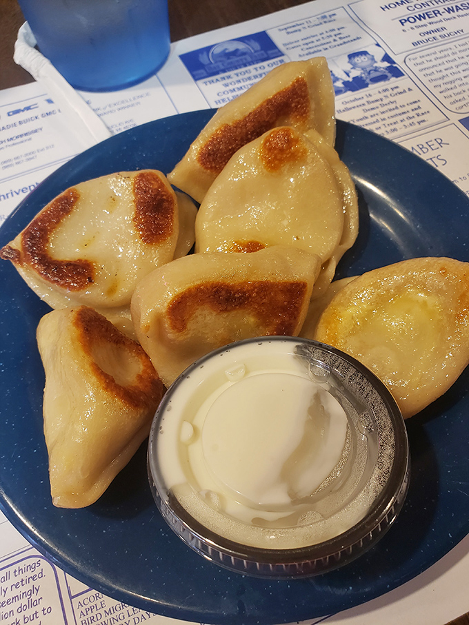 These golden-brown pierogi, kissed by heat and served with sour cream, are what Polish dreams are made of&mdash;pillowy perfection in every bite.