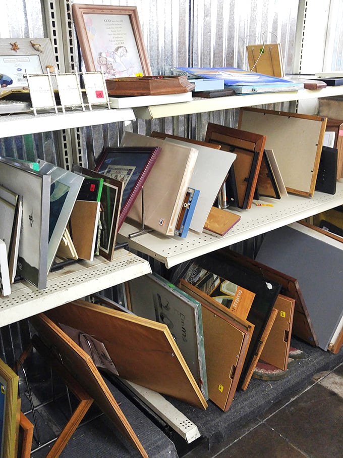 Frame-tastic! Whether you're looking to display art or create a Pinterest-worthy gallery wall, these shelves have got you covered.