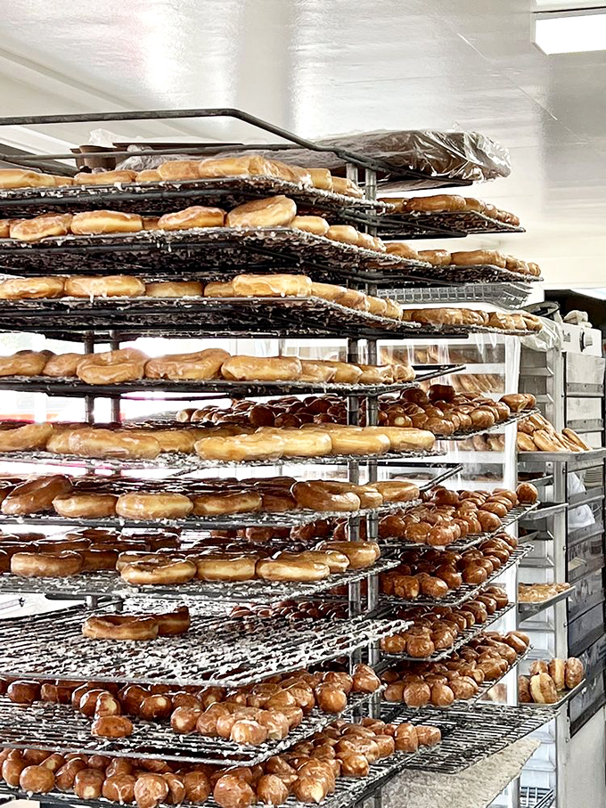 Trays upon trays of golden perfection. If Willy Wonka made donuts instead of chocolate, this is what his factory would look like.