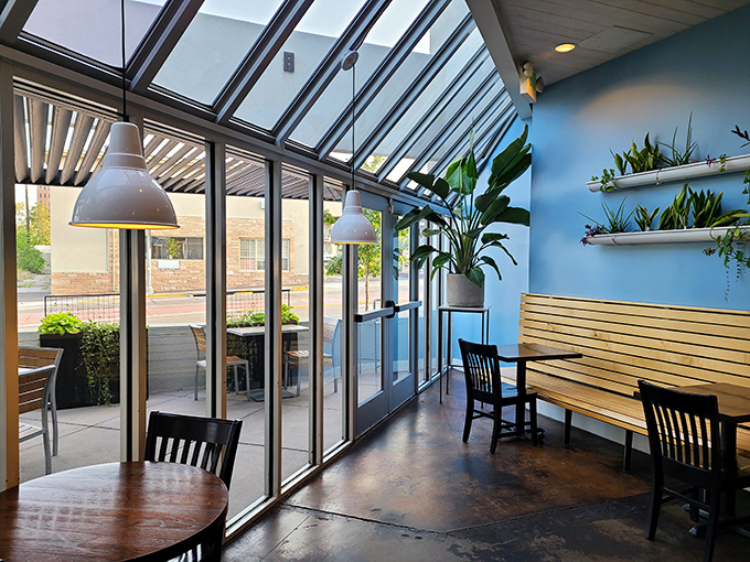 The café's greenhouse-like corner offers a sanctuary where plants, natural light, and good food create the breakfast equivalent of meditation.