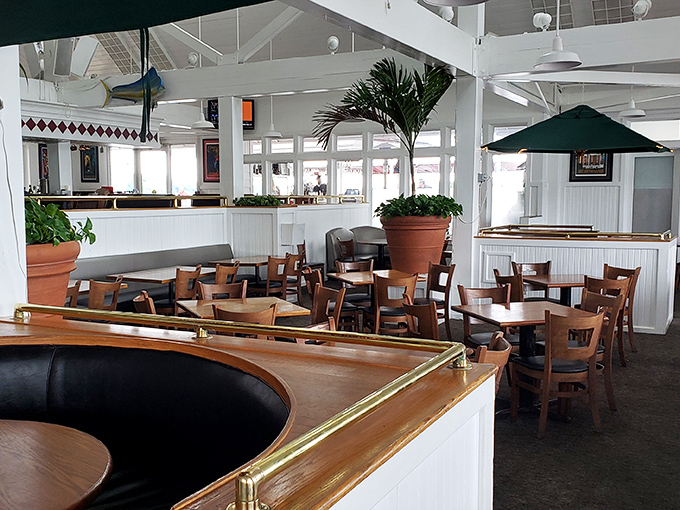 The Caesar salad, that faithful companion to seafood feasts, with proper shavings of Parmesan that didn't come from a green cardboard tube.