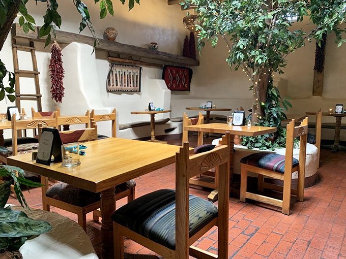 Indoor trees reaching toward wooden ceiling beams create dining spaces that feel like secret gardens where southwestern cuisine comes to life.