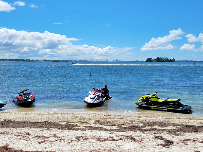 Three jet skis taking a breather on Dunedin's shoreline &ndash; proof that sometimes the best water adventures happen just minutes from downtown streets.