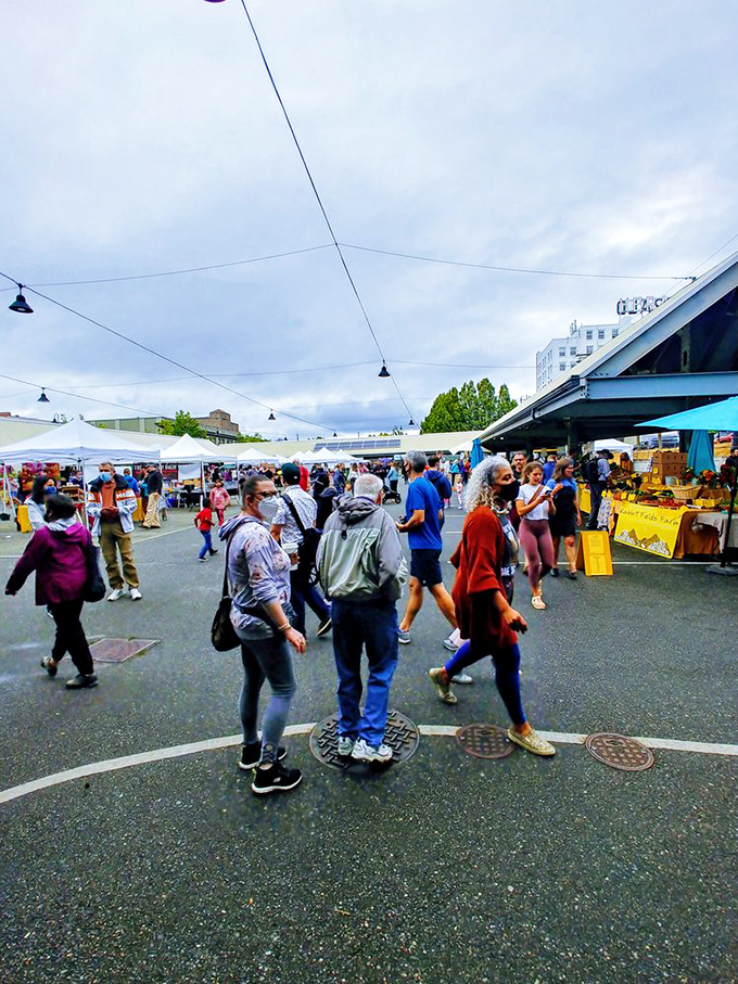 The farmers market buzzes with masked shoppers seeking local treasures. Even during challenging times, community connections flourish around fresh produce.
