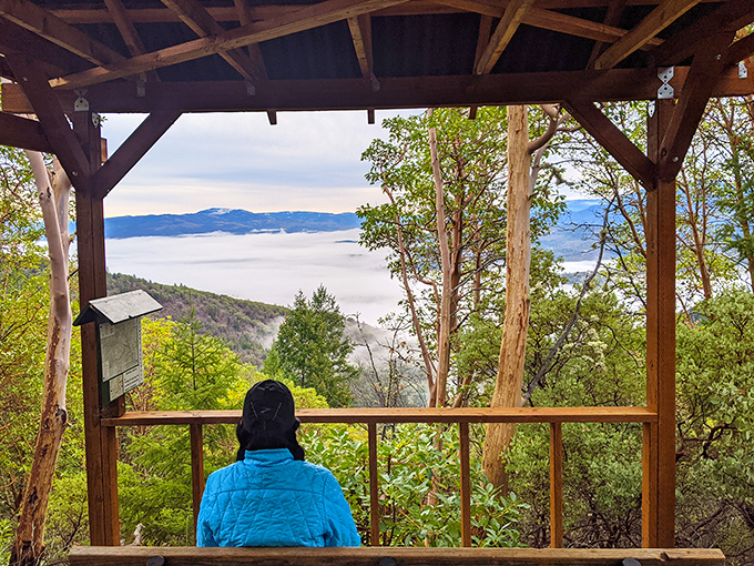 This mountain overlook delivers the kind of vast, misty view that makes smartphone cameras feel inadequate and poets reach for their notebooks.