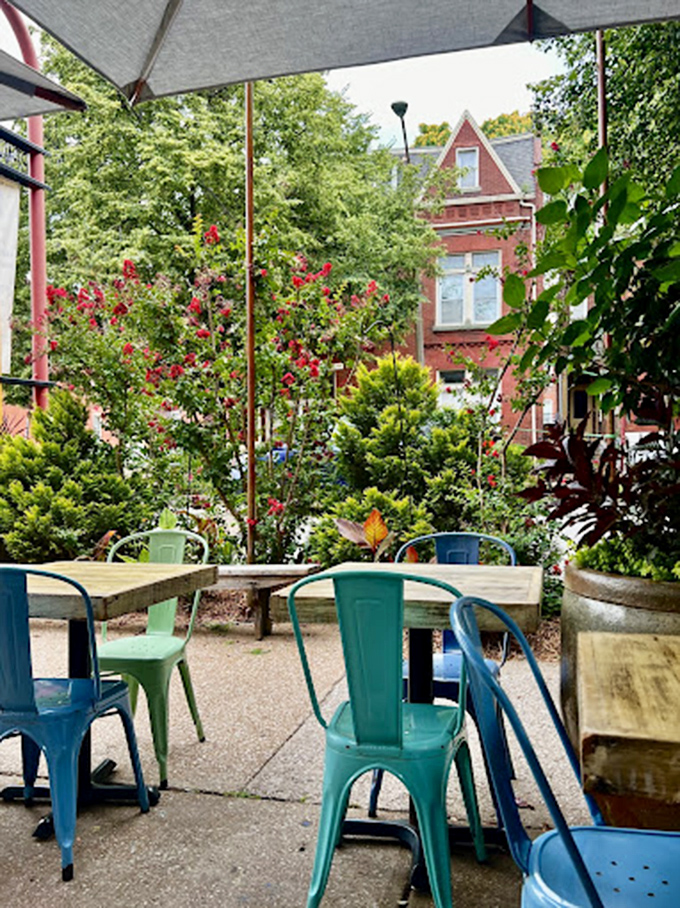 The patio offers an urban oasis, where seafood feasts unfold against the backdrop of historic brick buildings and dappled sunlight.