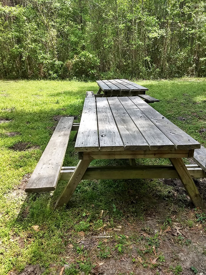 These picnic tables patiently await your arrival with a basket of Southern comfort food and absolutely zero urgent emails.