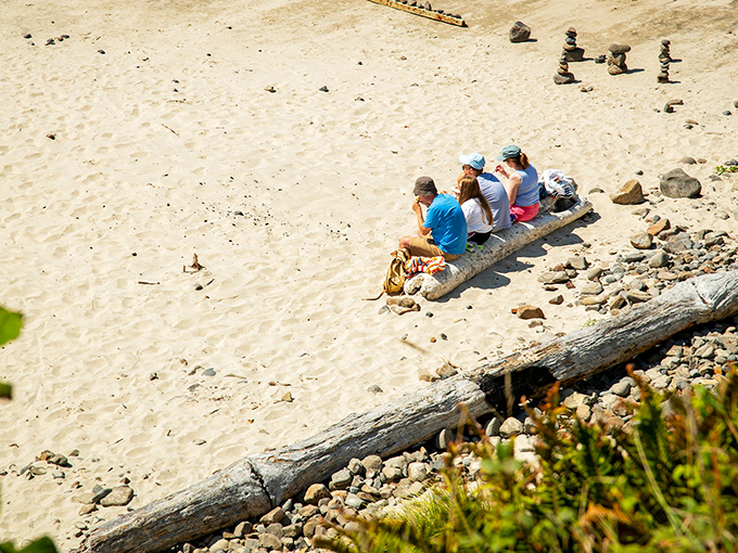 Beach driftwood: nature's perfect bench. That family has found the best seat in the house for ocean-watching.