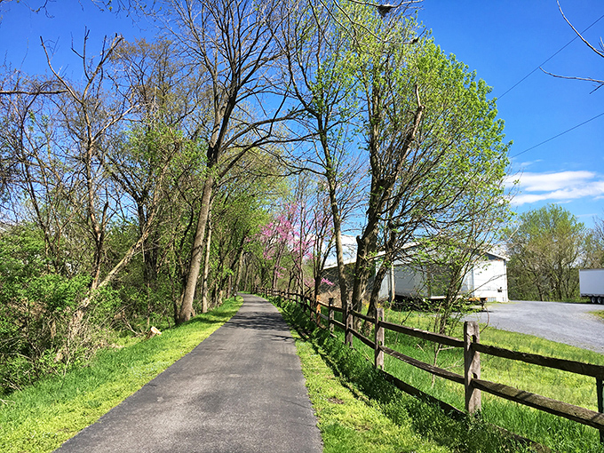 This tranquil trail invites visitors to slow down and appreciate the simple pleasure of a leisurely stroll through Pennsylvania's lush landscape.