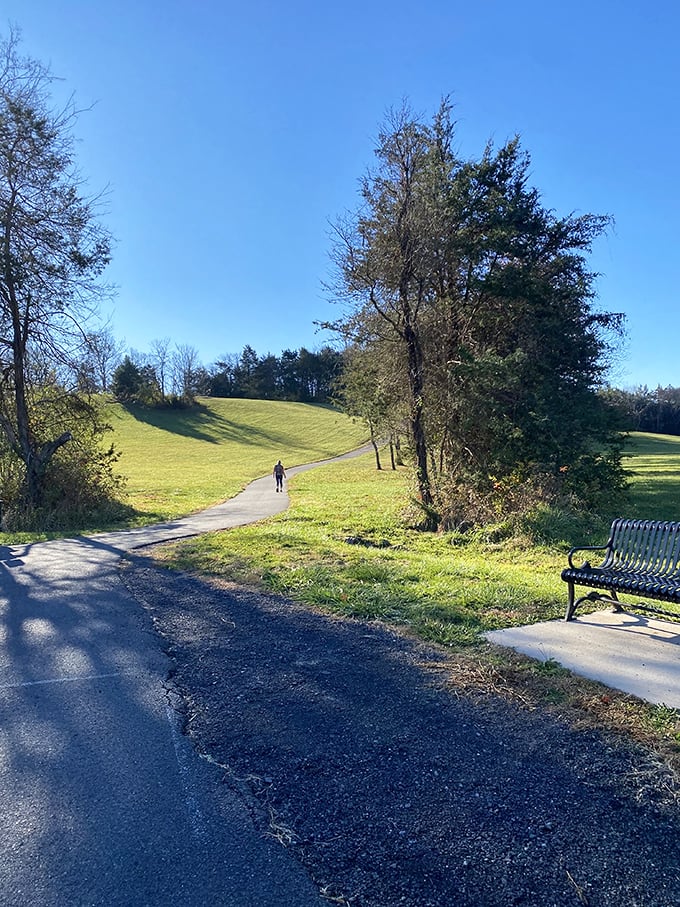 Walking paths winding through green hills offer the perfect antidote to city life. That lone figure in the distance is living my retirement dream.