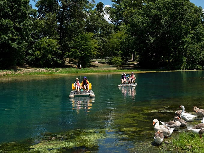 The geese have the right idea&mdash;if you lived near water this pristine, you'd spend your days paddling around showing off too.