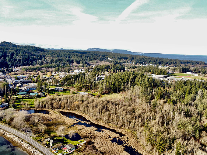 Eastsound's harbor filled with boats looks like a maritime parking lot where everyone got the best spot.