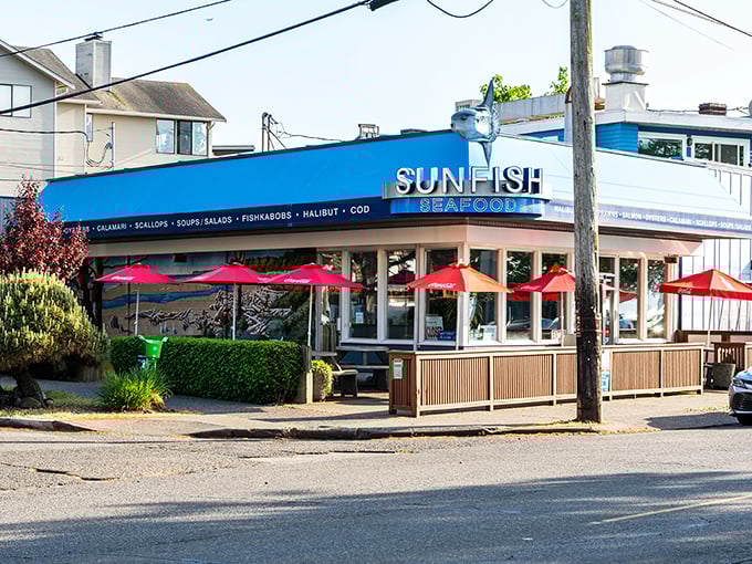 Sunfish's corner spot with vibrant red umbrellas creates the perfect stage for West Seattle's most beloved seafood performance.