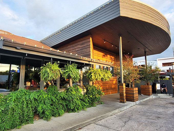 Urban Grub's architectural curves and wooden warmth create Nashville's perfect setting for seafood that's sophisticated without being stuffy.