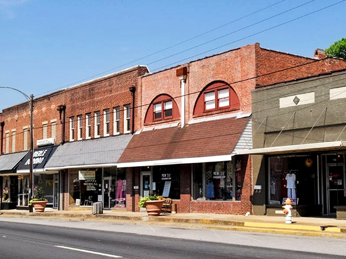 The approach to Guntersville: palm trees and a water tower announce, "You've arrived somewhere special."
