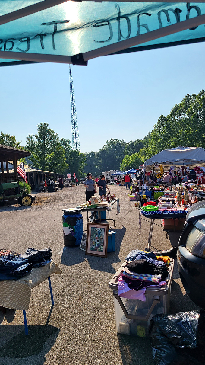 Vendors at Hocking Hills create an impromptu village of possibilities. Where every table might hold the answer to "I've been looking everywhere for this!"