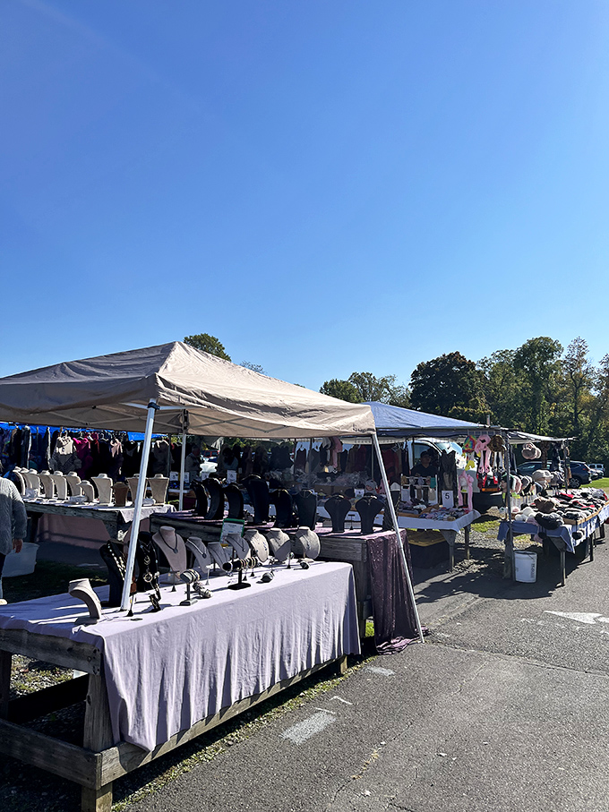 Rice's Market: Morning light illuminates tables of treasures where early birds definitely get the most interesting worms.