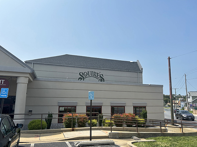 The understated exterior is Squire's way of saying "We put all our effort into the food, not the fa&ccedil;ade." Maryland priorities at their finest.