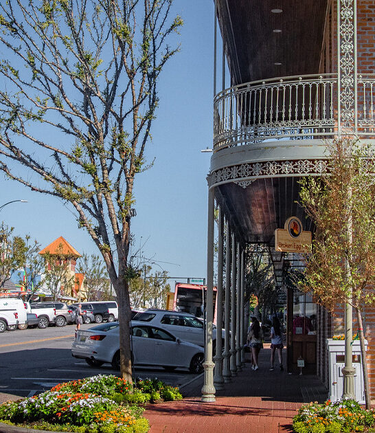 alabama town postcard ftr