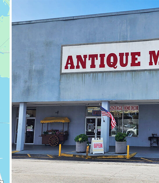 antique store florida collectibles ftr
