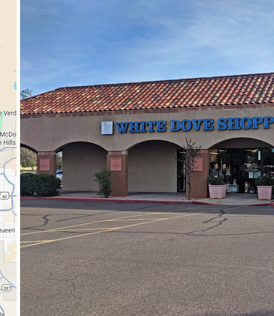 arizona enormous thrift store ftr