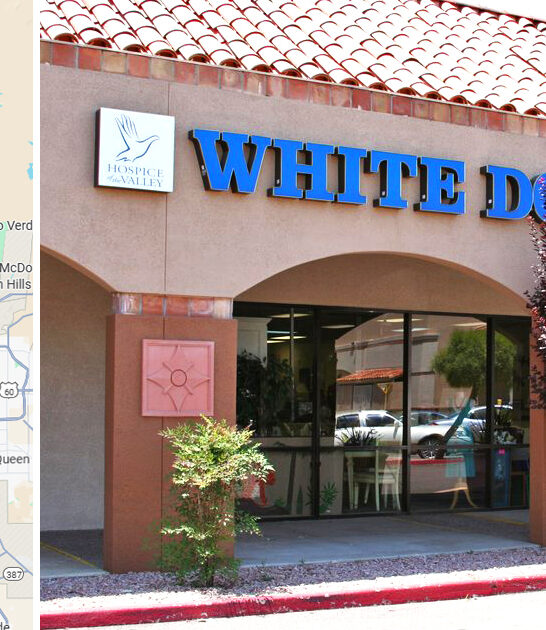 arizona rare treasures ftr