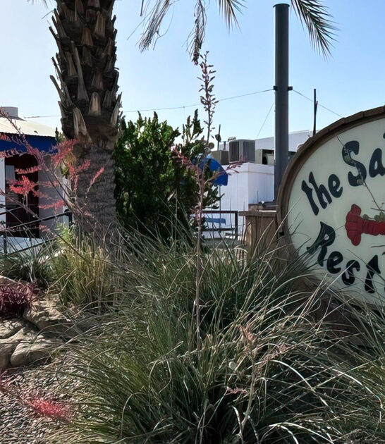 arizona stuffed lobster restaurant ftr