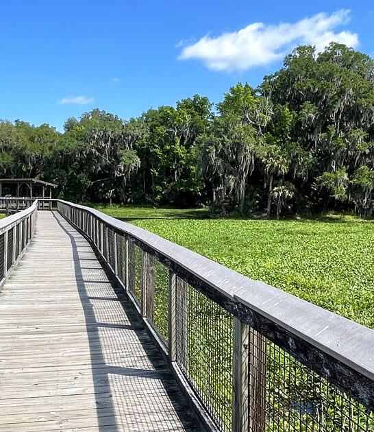 beautiful florida state park ftr