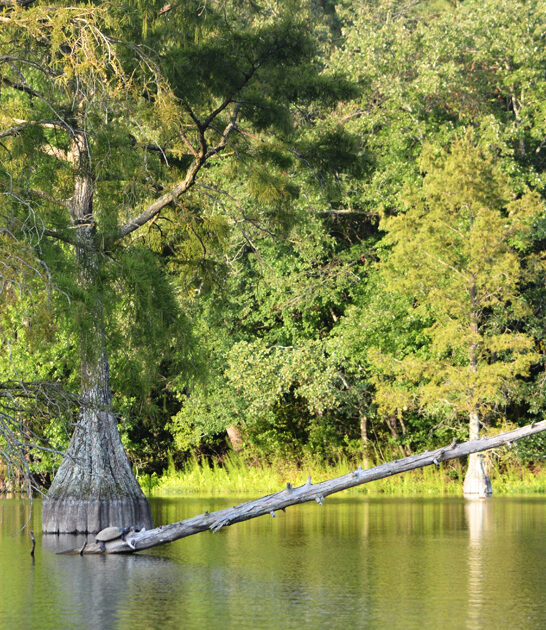 beautiful park delaware ftr