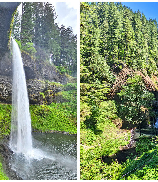 beautiful state park oregon ftr